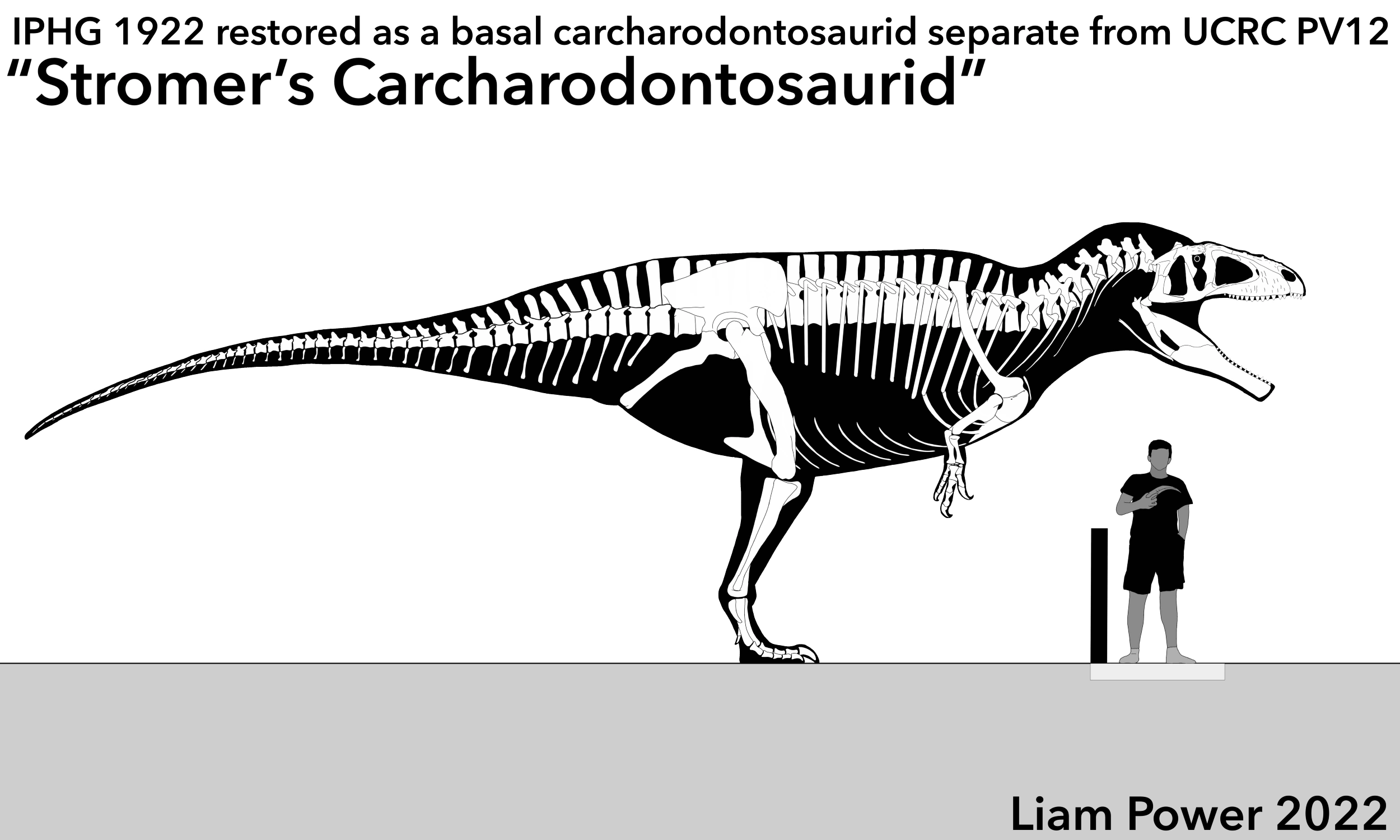 IPHG 1922 skeletal | Fandom