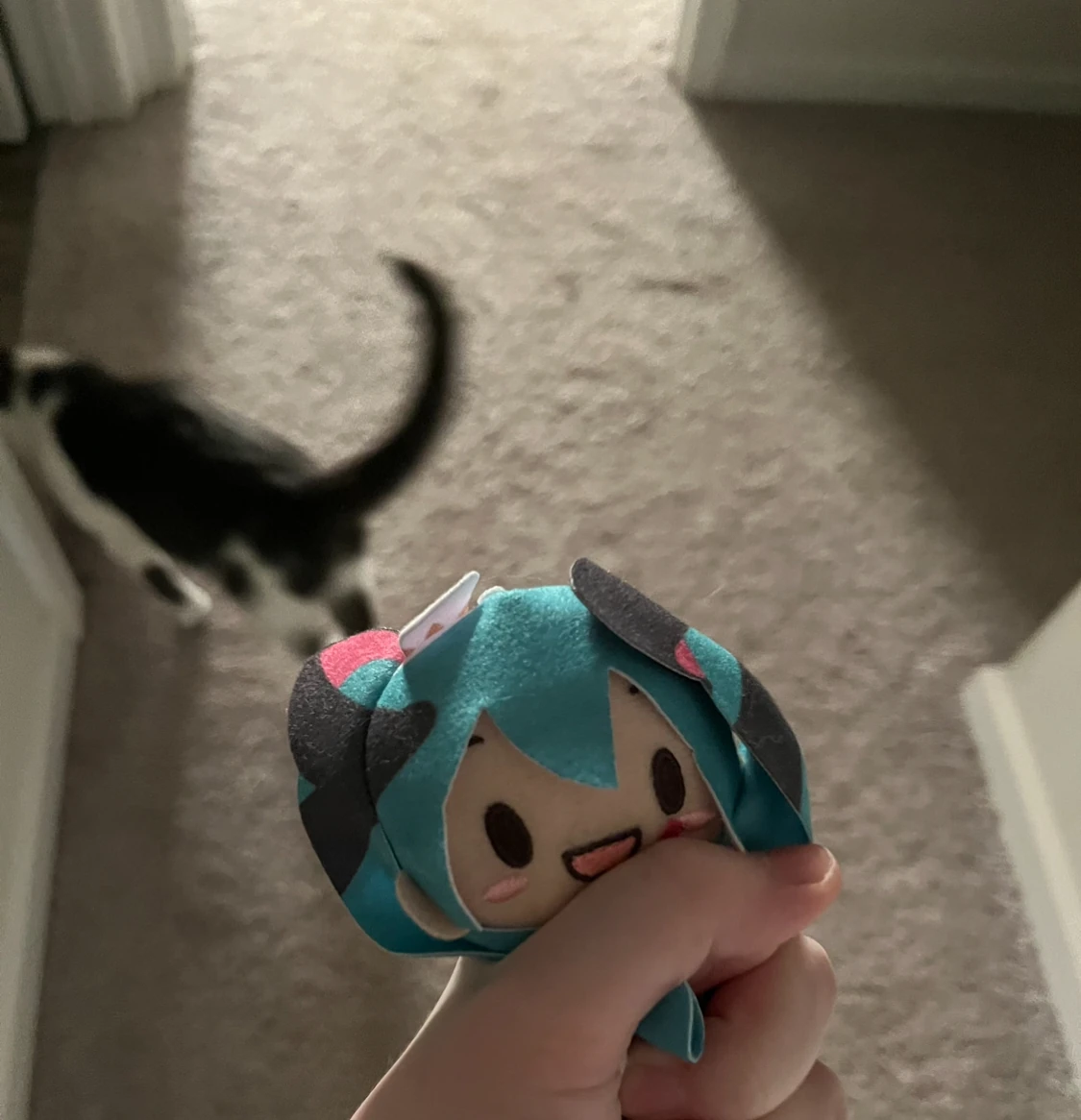 death to miku | Fandom