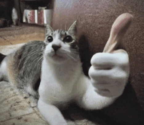 HOW TO RETEXTURE UGC IN ROBLOX STUDIO! | Fandom