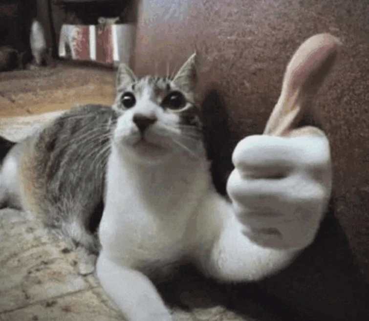 HOW TO RETEXTURE UGC IN ROBLOX STUDIO! | Fandom