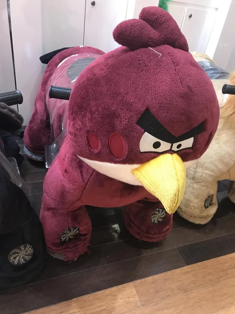 Random images I have | Fandom