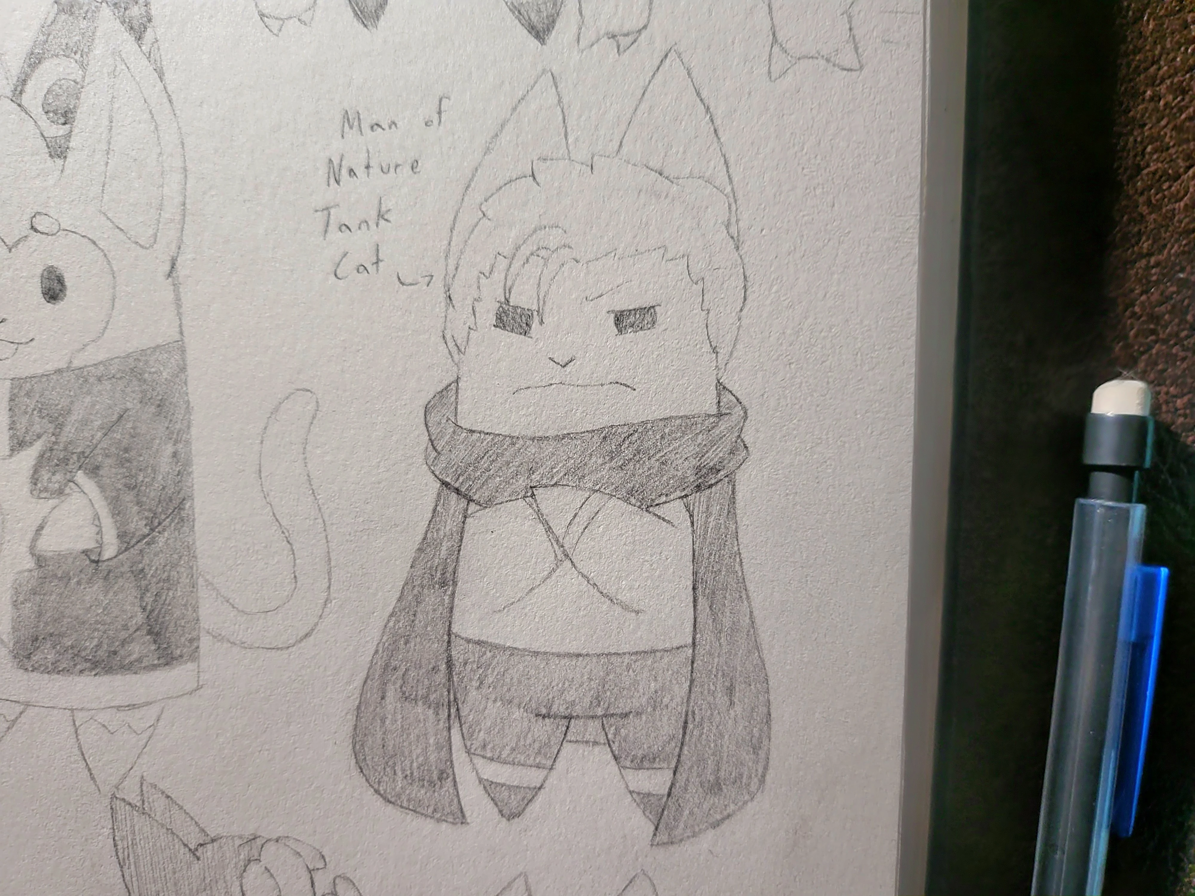 Daily Tank Cat: Item Asylum Edition! Day 228 | Fandom