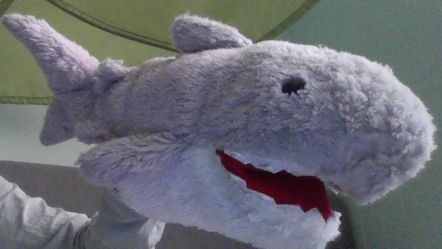 now presenting hank the shark | Fandom
