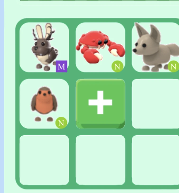 Lf turtles! | Fandom