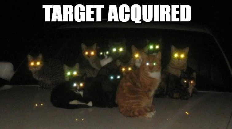 COS Players when they see your Warden during LSS Event: | Fandom