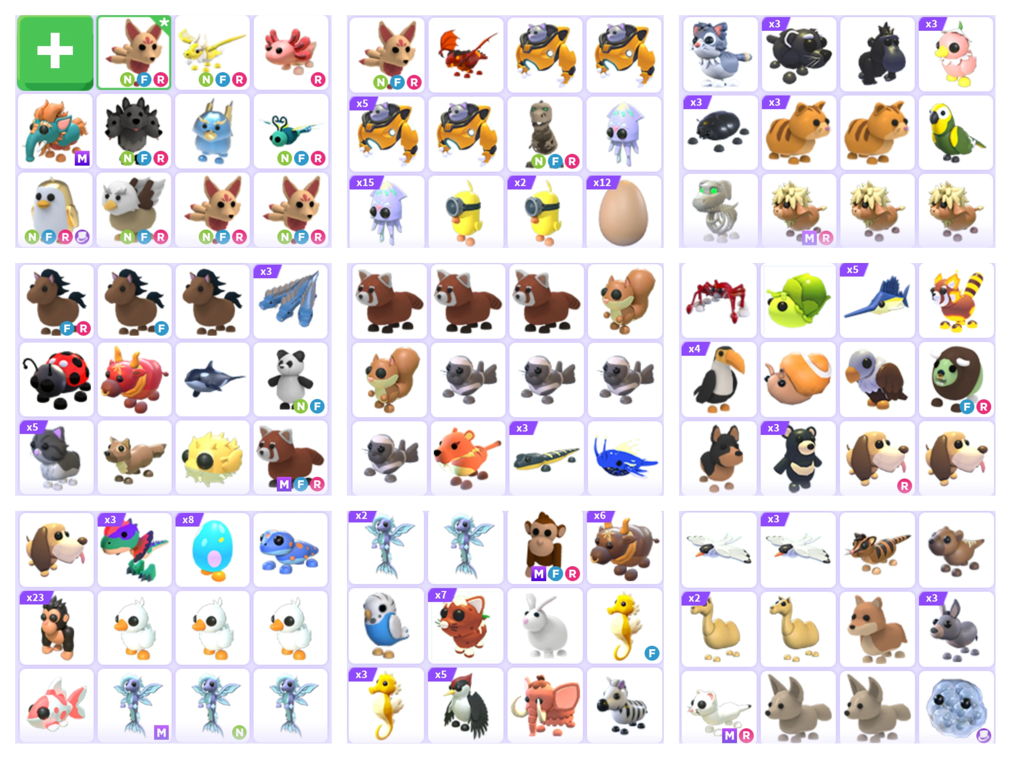 LF these pets | Fandom