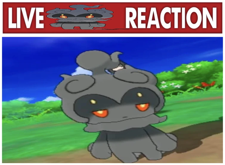 Does Magma work? | Fandom