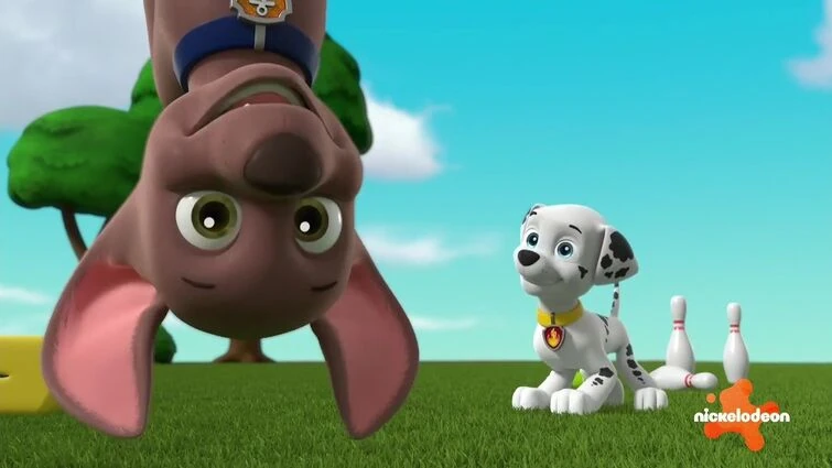 Top 5 Favorite Pup Friendships | Fandom