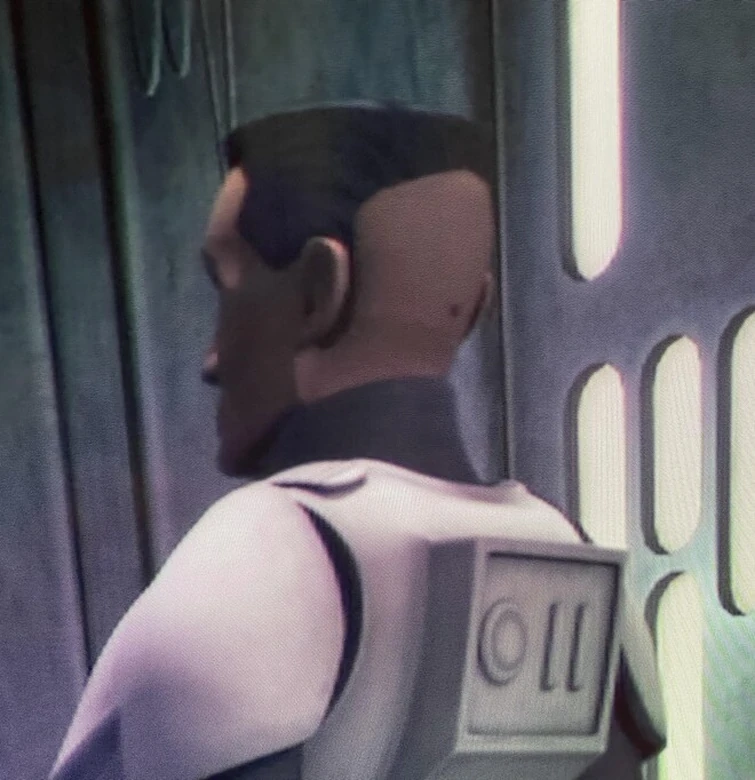 What is the name of the haircut the clones have? | Fandom