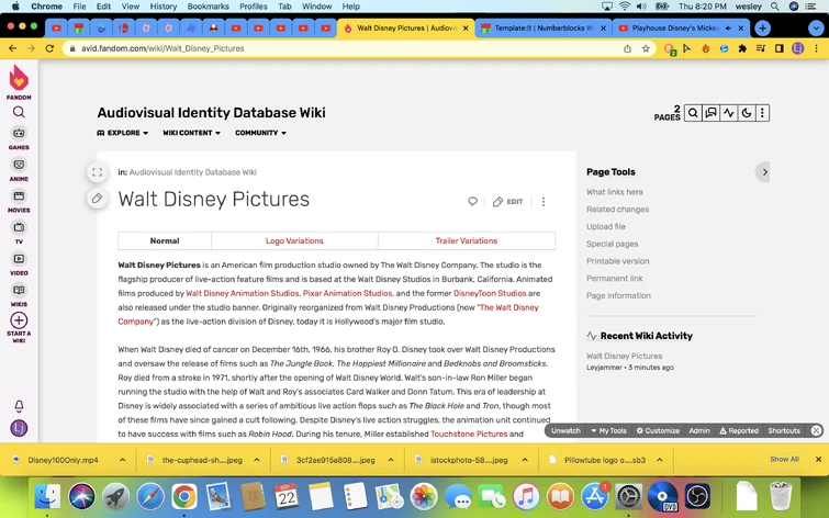 Idea about these wiki templates | Fandom