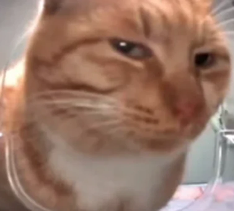 Profily Asks... | Fandom