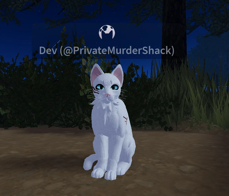 random wcue oc dump and info abt em bc why not lol | Fandom