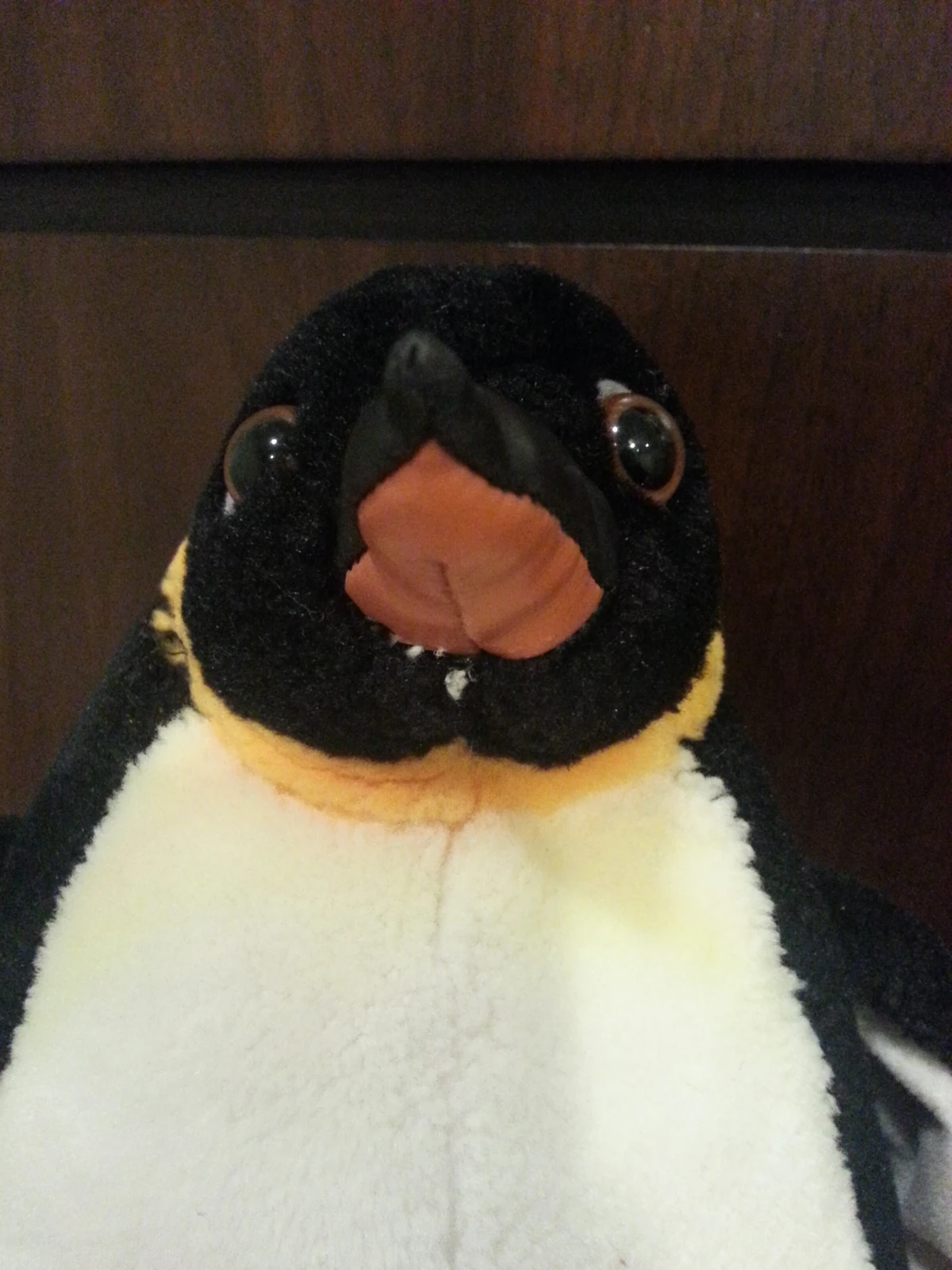 Peter | 5476 Wiki | Fandom