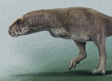 Carnotaurus vs. Pycnonemosaurus | Fandom