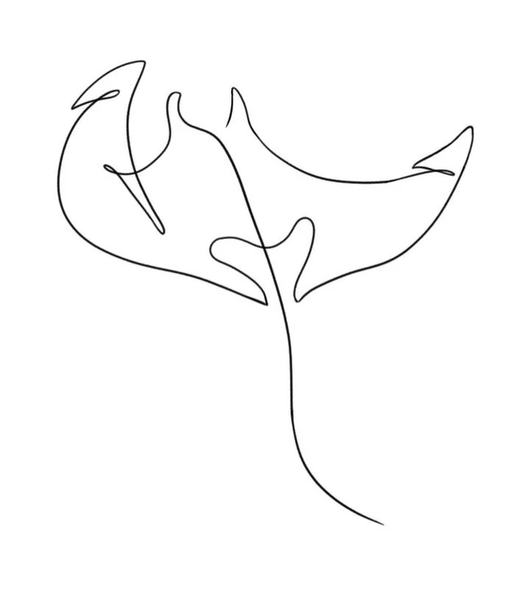 My own Manta 🤍 | Fandom