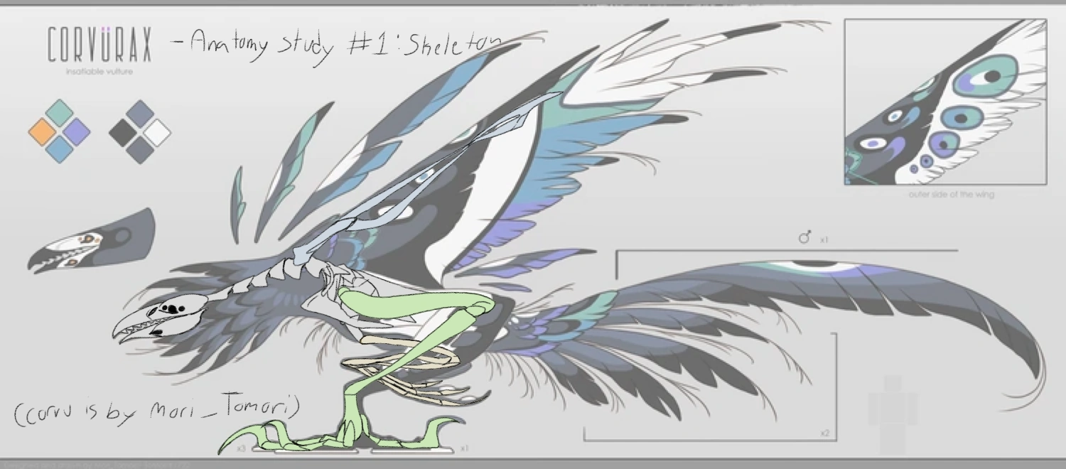 drawing corvu every day until i get 50 corvus - day one | Fandom