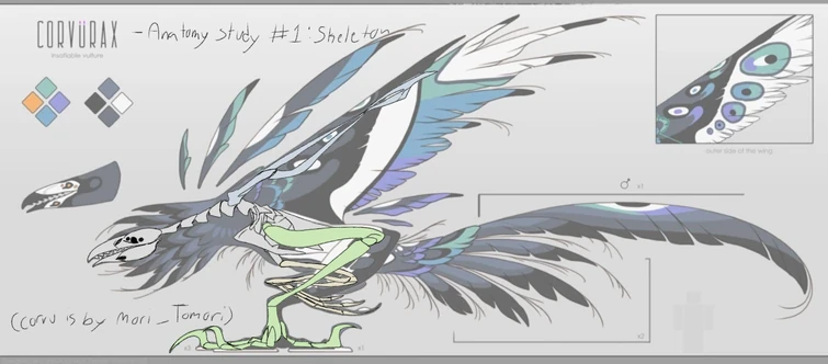 drawing corvu every day until i get 50 corvus - day one | Fandom