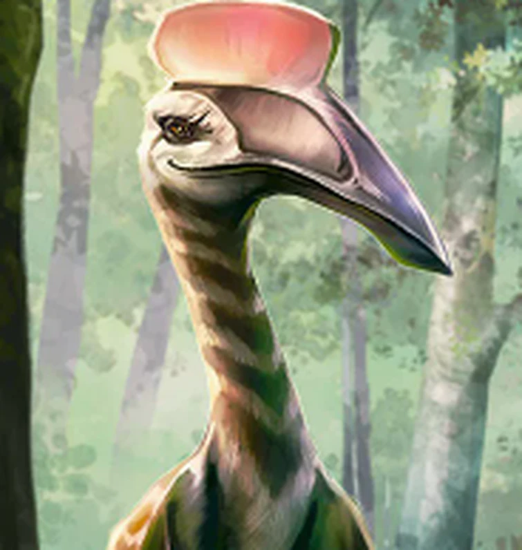 when you win the argument | Fandom