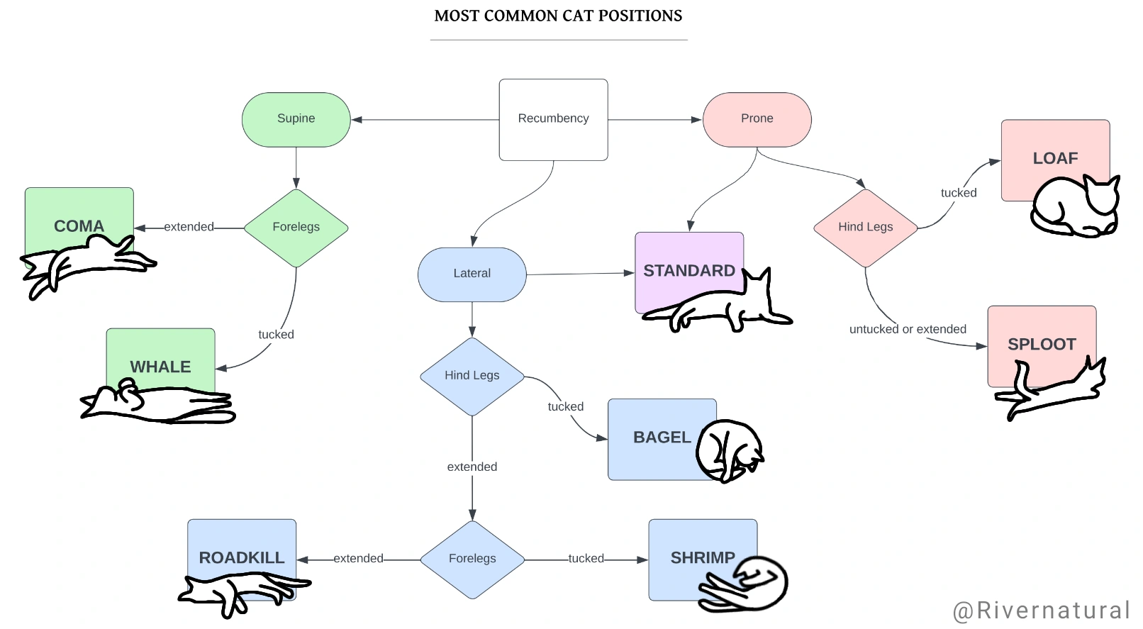 why did i do this | Fandom