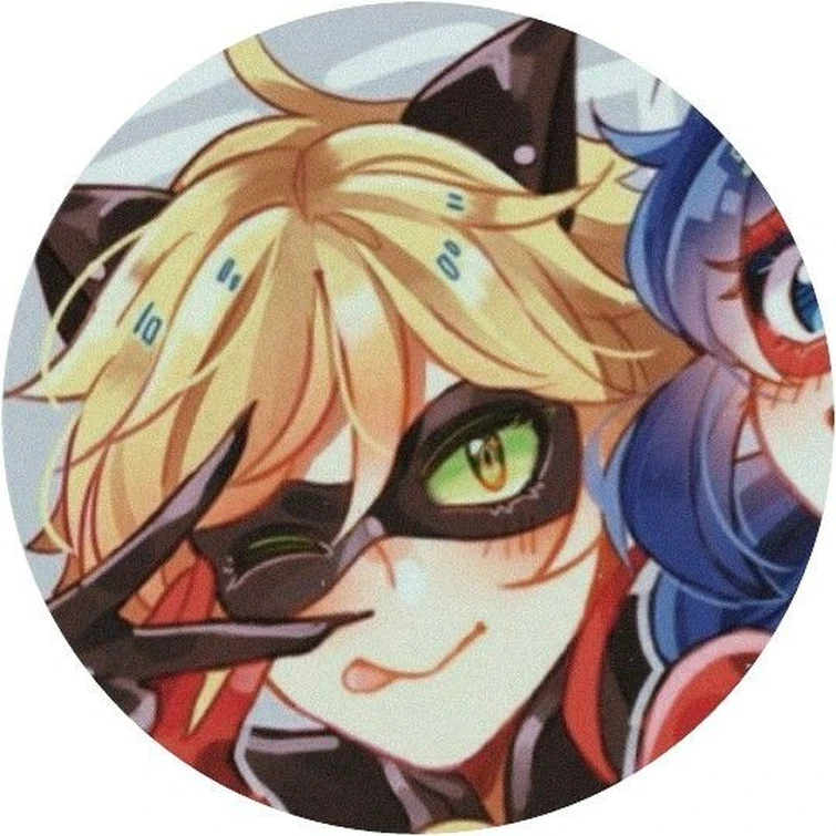 Matching Miraculous icons | Fandom