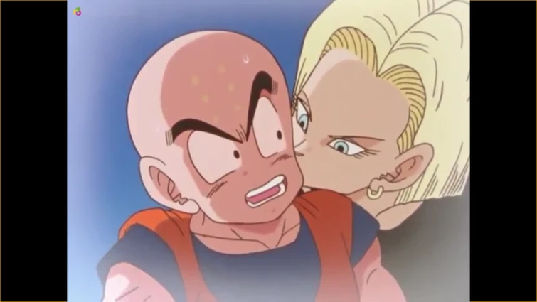 What did Android 18 see in Krillin? | Fandom
