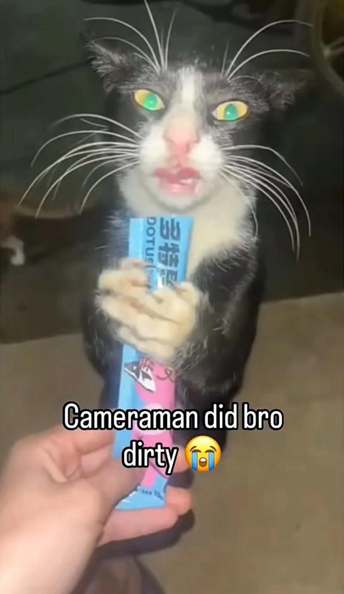 Trade NR dodo + N bee get em out | Fandom