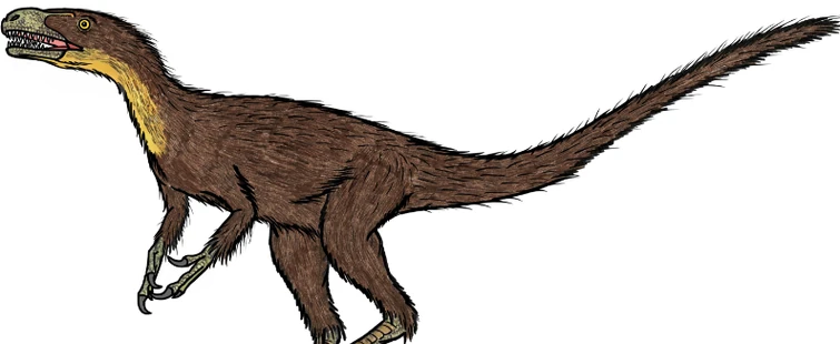 Discuss Everything About Dinopedia | Fandom
