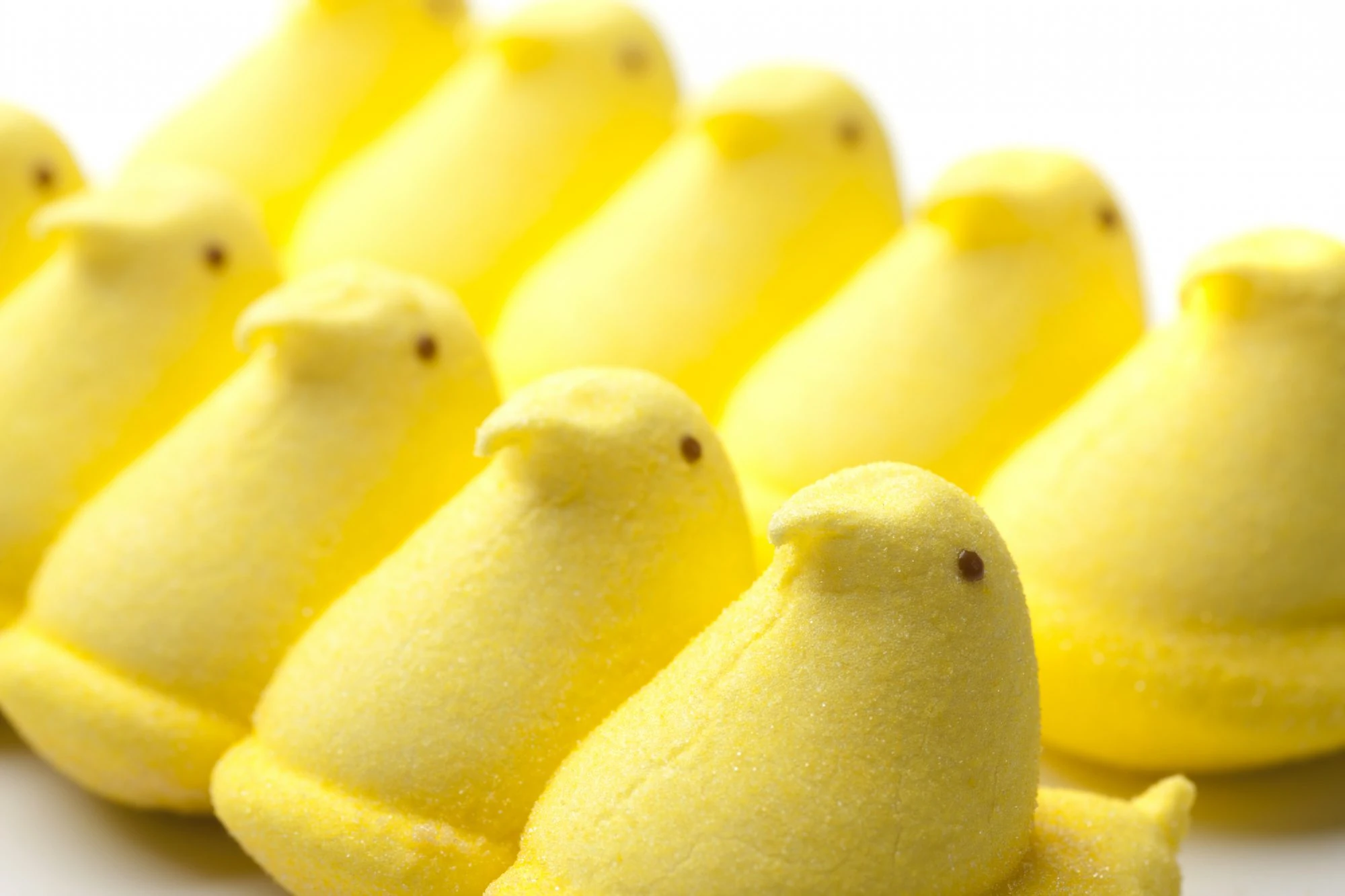 Dancing Peeps, young and sweet, and they go “meep meep” (AKA The ...