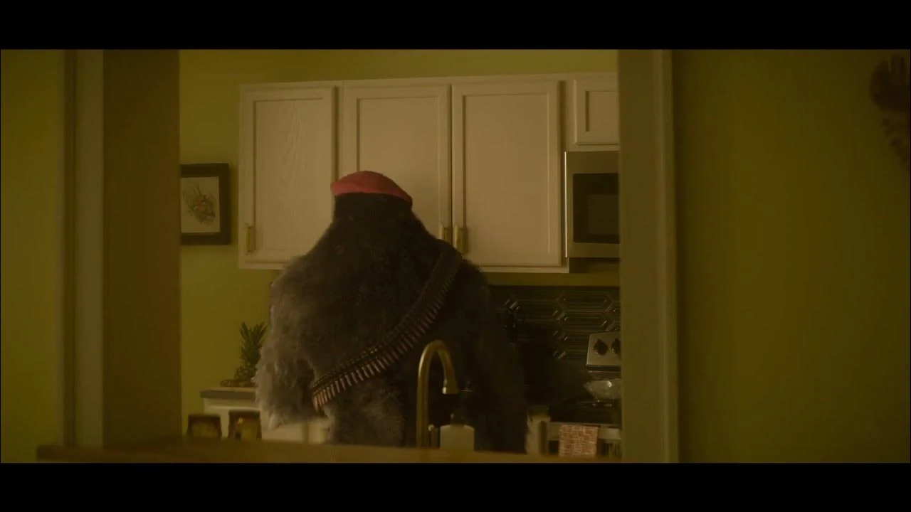 The Brain and Madame Rouge: From Doom Patrol S3X9 1 | Fandom