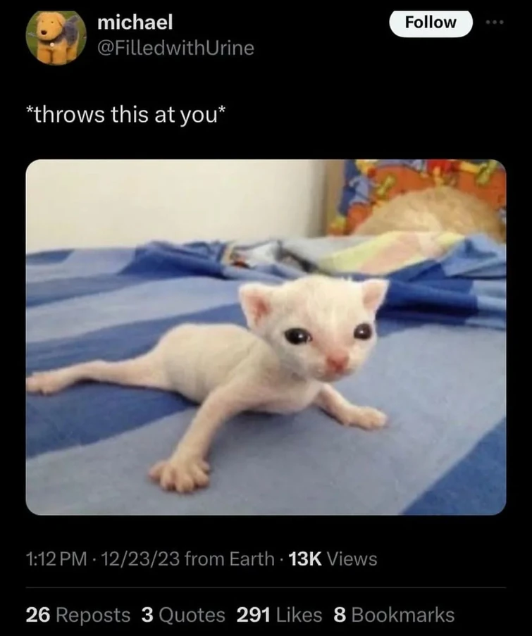 Uhhhhhhhhhhhh don’t mind this it means nothing at all yeah uh. you can ignore this ig. | Fandom