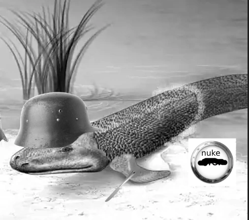rare photo of tiktaalik transitioning vertebrates onto land | Fandom