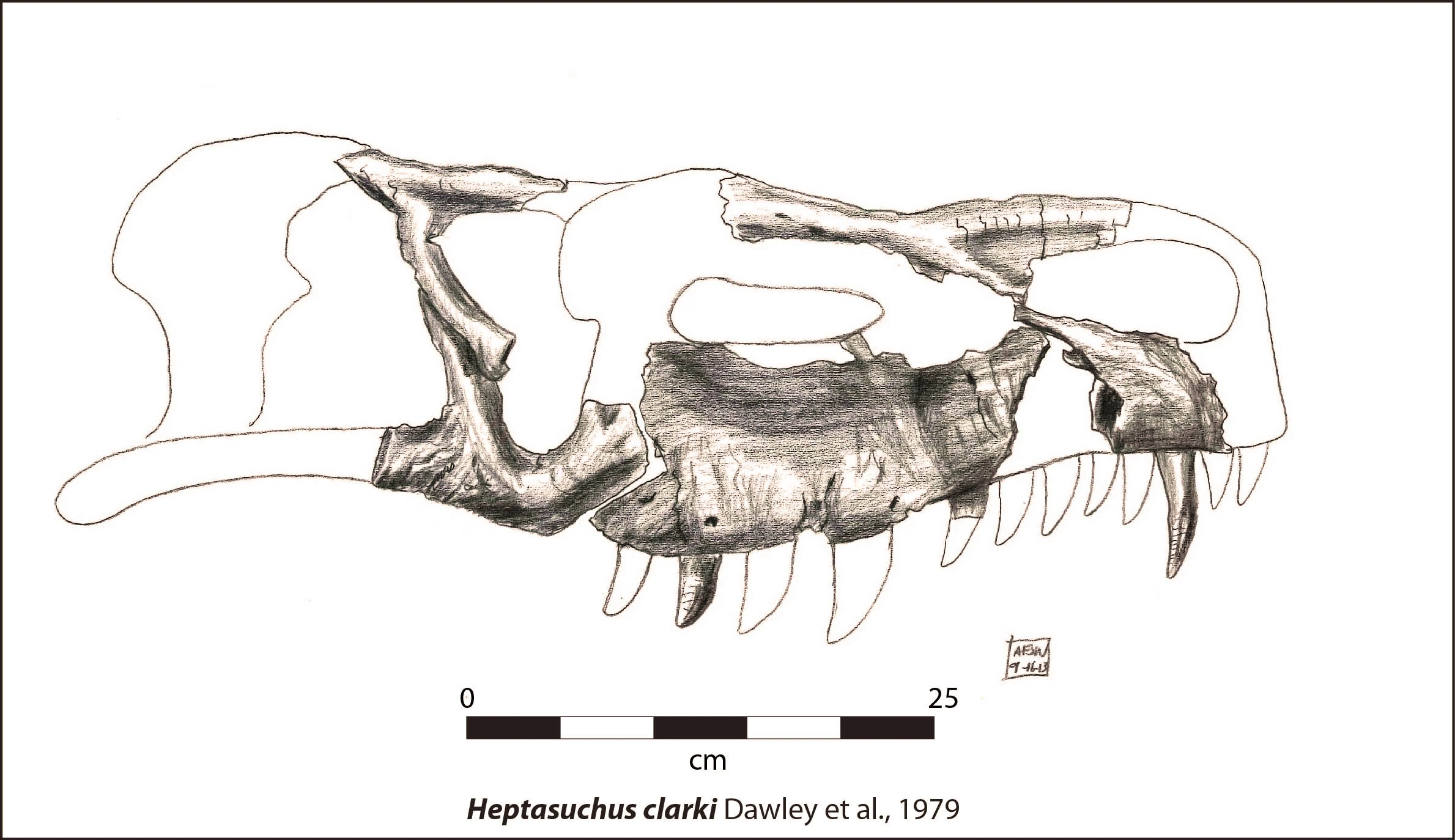 Underrated triassic Rauisuchid | Fandom