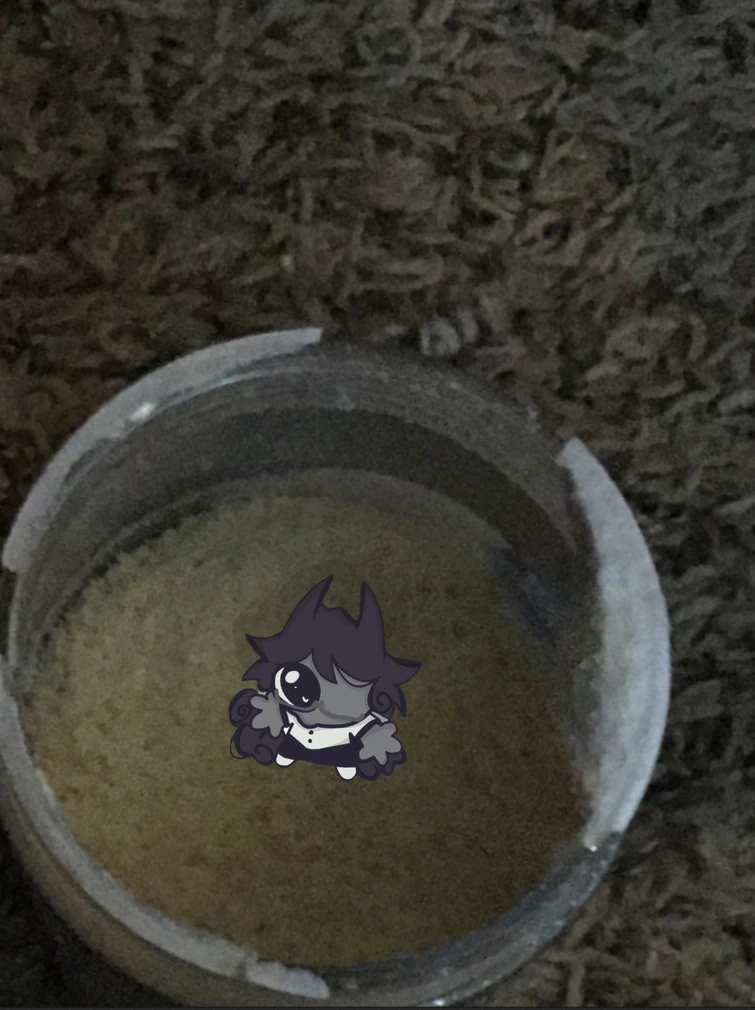 Miss Circle eepy | Fandom