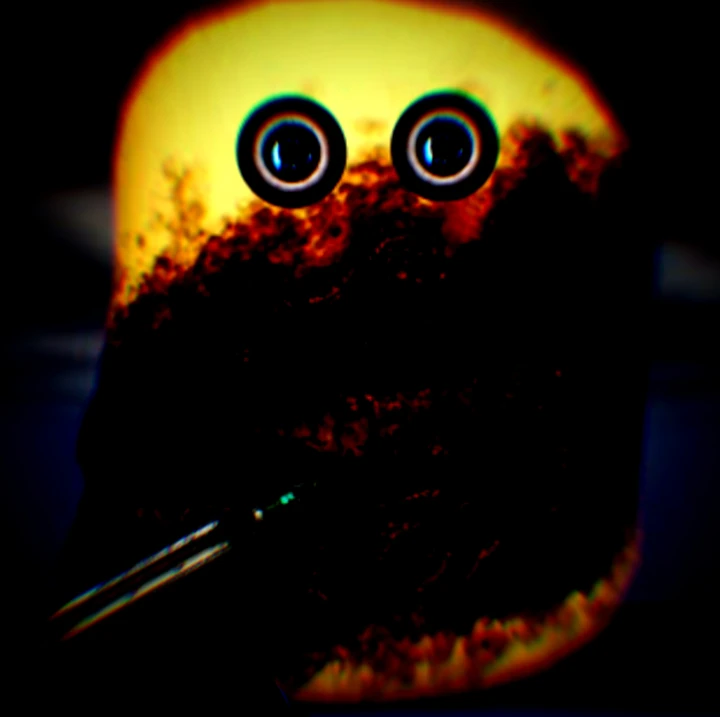 Slaughterhouse's gore phase replacements (FAKE GORE) | Fandom