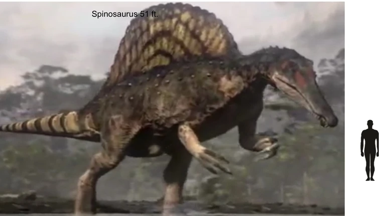 Theropod size comparison I made in 2017 when I was 8 | Fandom