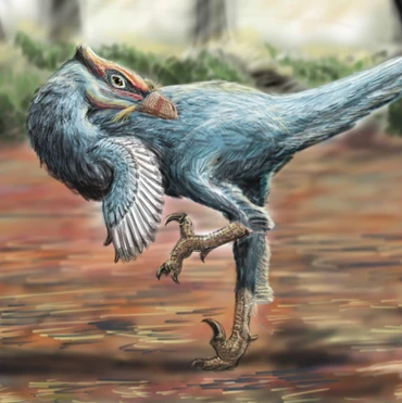 Dromaeosaur WDYLM - Round 2(12/16) | Fandom