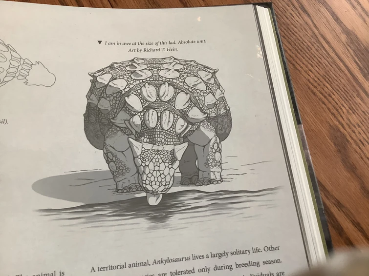 Got the saurian book a few days ago | Fandom