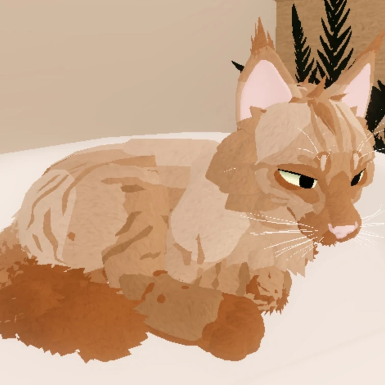 new morphs!! | Fandom