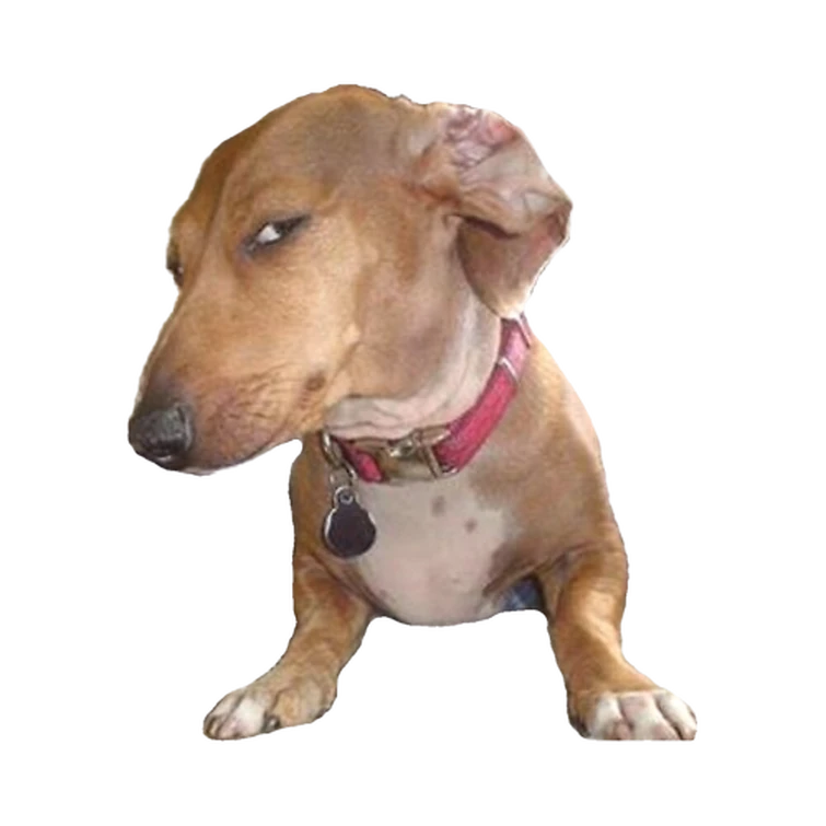 nextbot giveaway because why not | Fandom