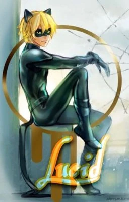 My Miraculous Short Story- Lucid | Fandom