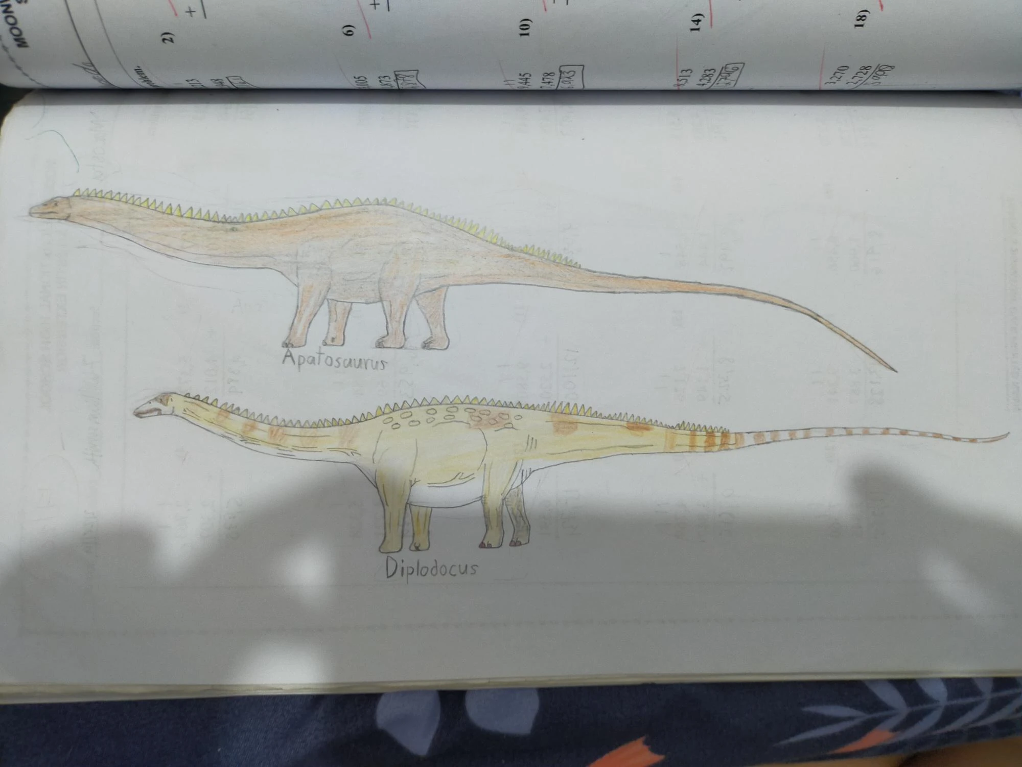 Jurassic sauropods | Fandom