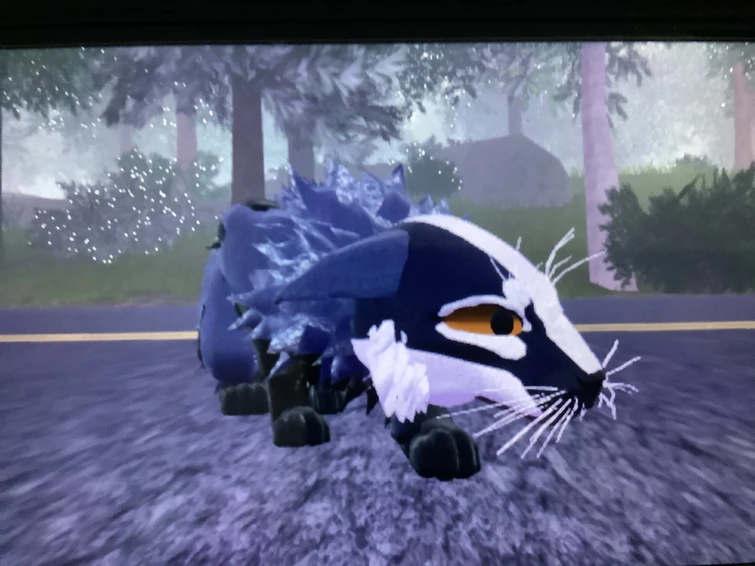 I got bored and tried to make a badger | Fandom