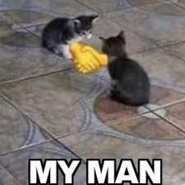 What do y'all think of me? Just curious... | Fandom