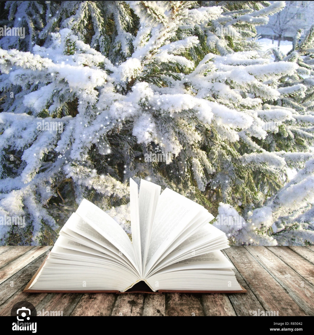 Winter Profile Pics | Fandom
