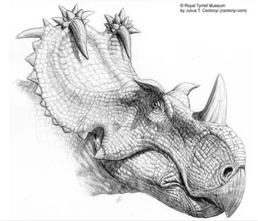 Discuss Everything About Dinopedia | Fandom