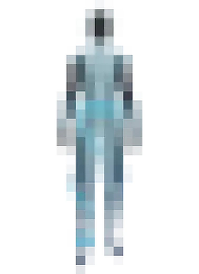 Guess the Spirit from the Pixelated Image! 25.3.2026 | Fandom