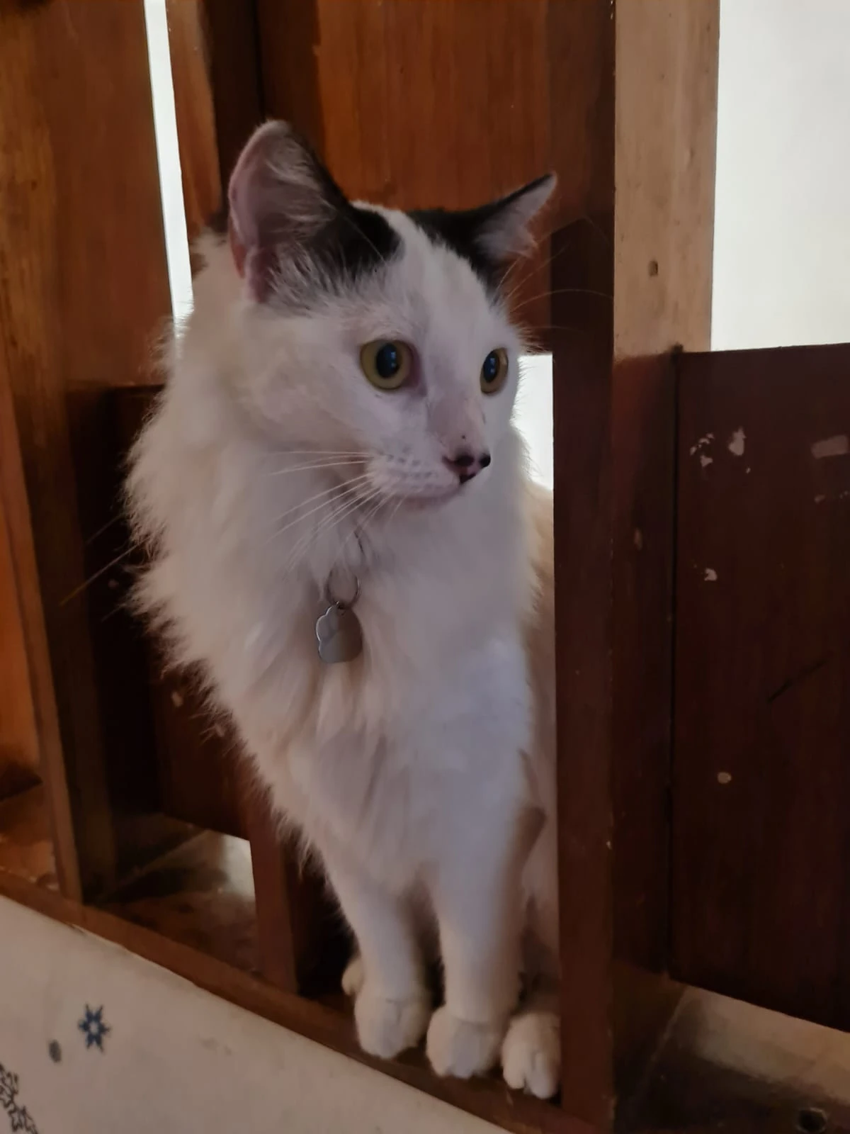 WAJHAJAAIQJWHAJAIWJSJS | Fandom