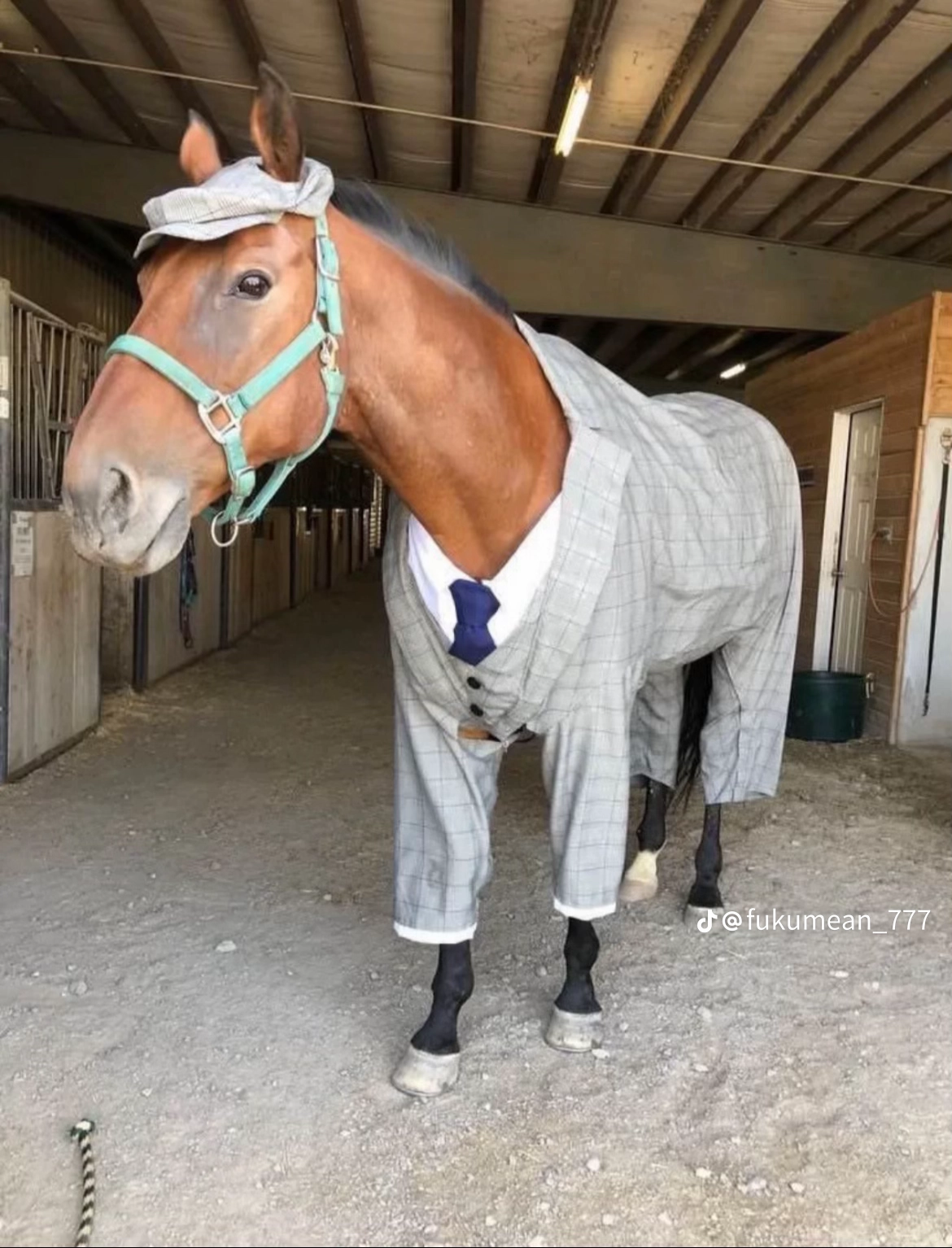 Pls dump every meme you got rn | Fandom