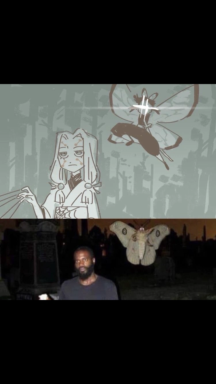 Butterfly meme | Fandom