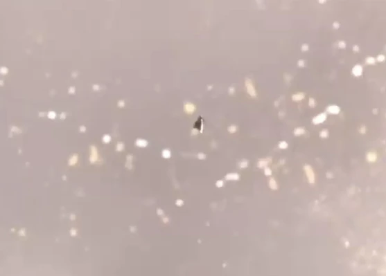 POV: You're the solar system | Fandom